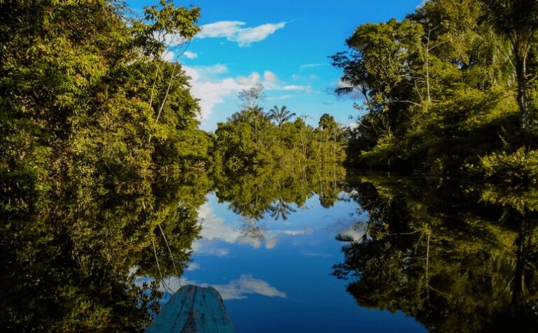 Visiting the Amazon in Peru: Ultimate Guide to the Jungle (2024)